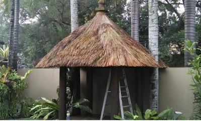 ALANG LALANG SUPPLIER IN MALAYSIA